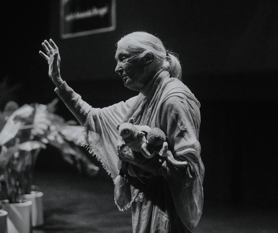 Jane Goodall: Inspiring Future Generations – Tales from Miss Molly Marbles